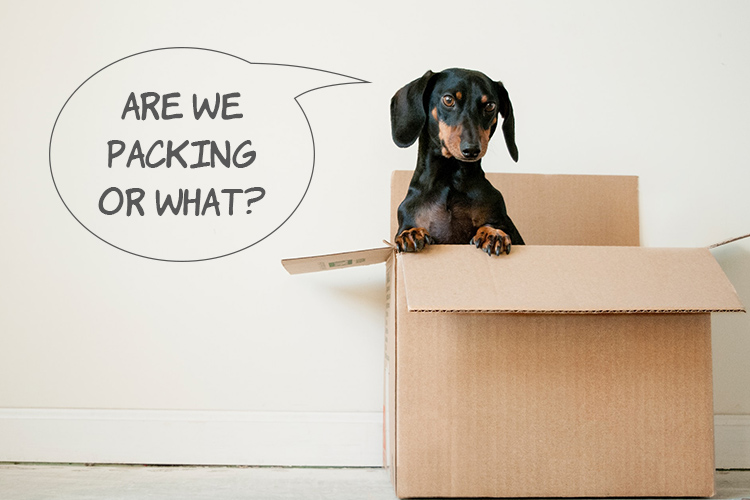 Moving And Packing Tips | Countrywide Moving & Storage
